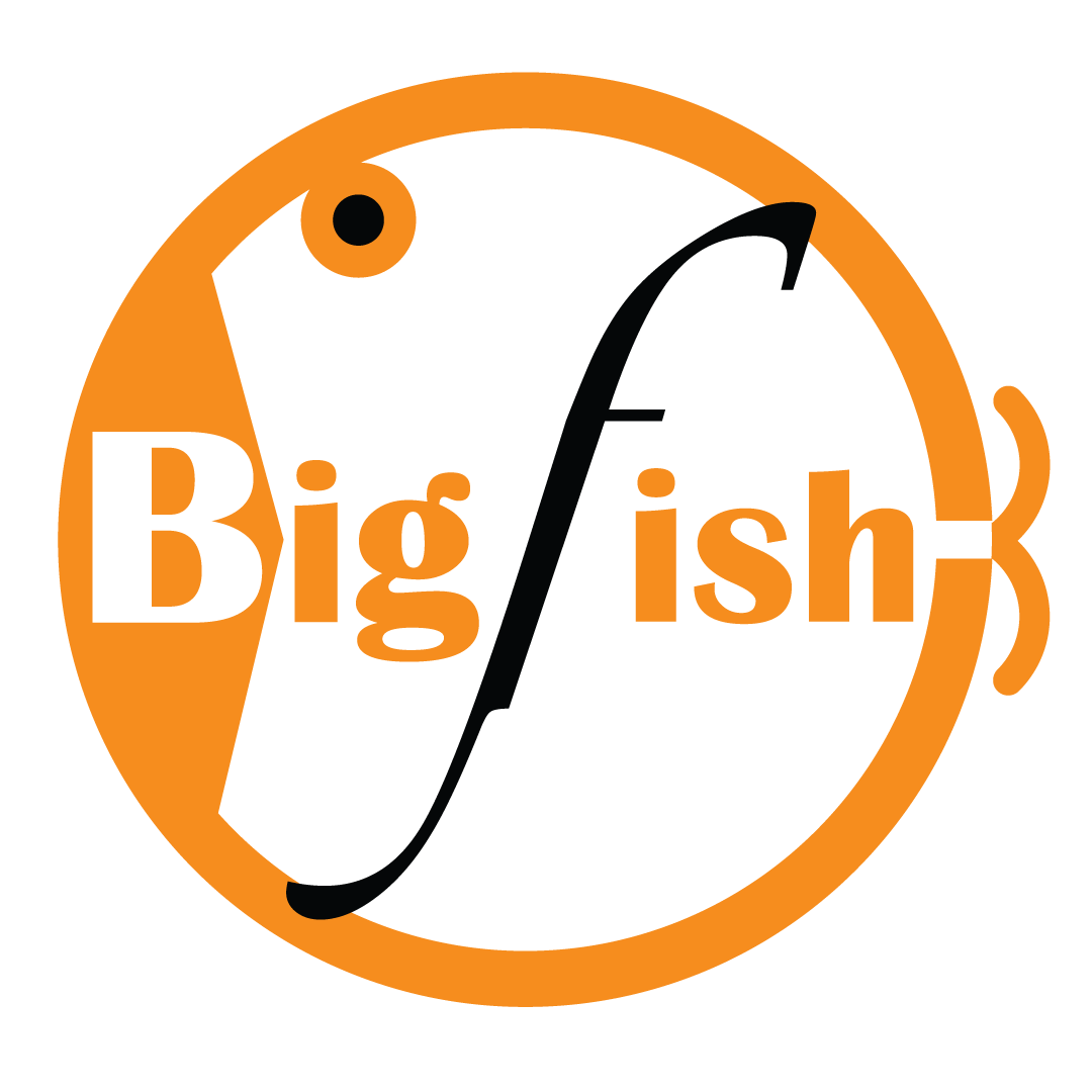 BIGFISH TECHNOLOGY LIMITED